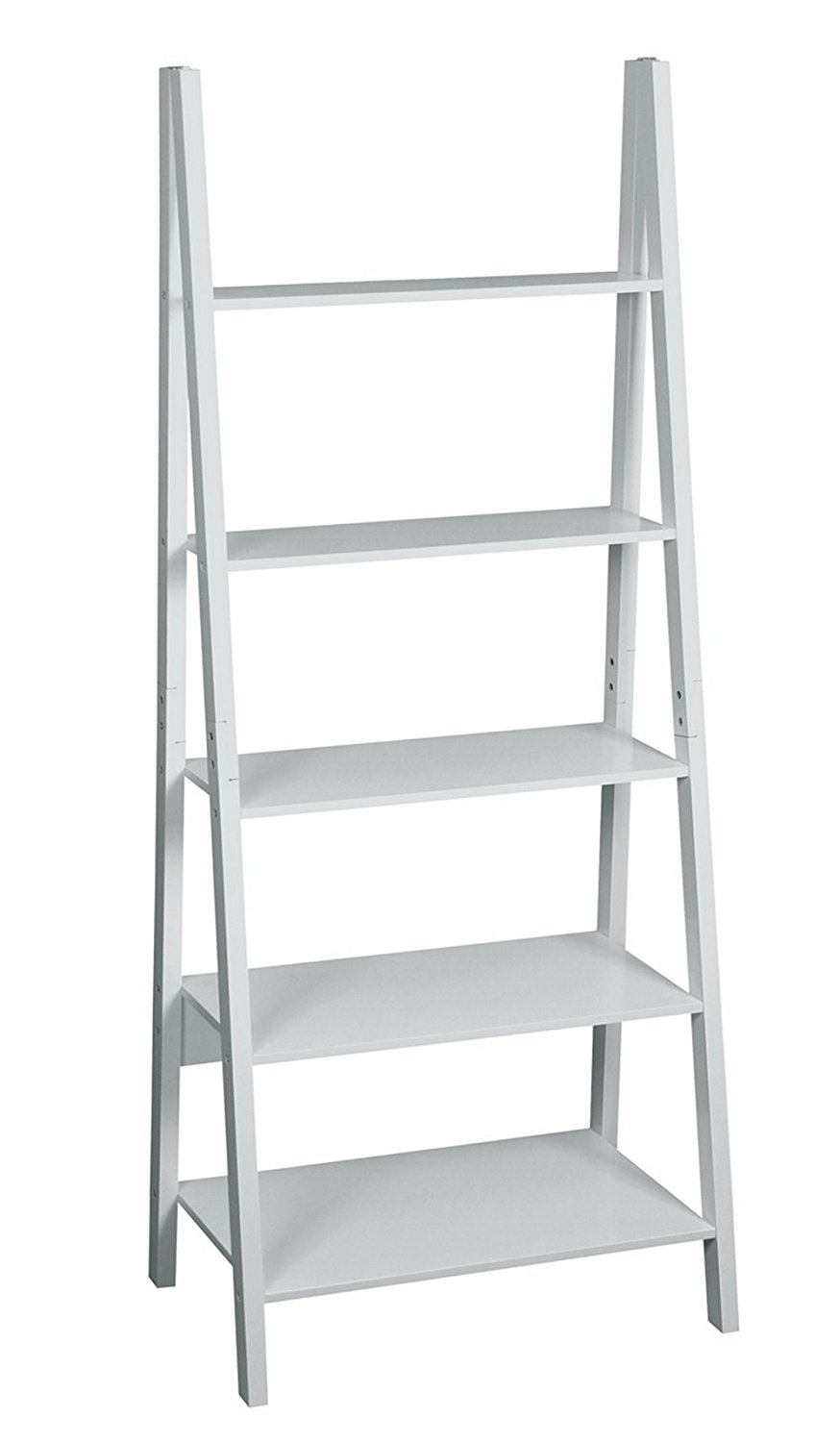 Aspect 5-Tier Storage Ladder